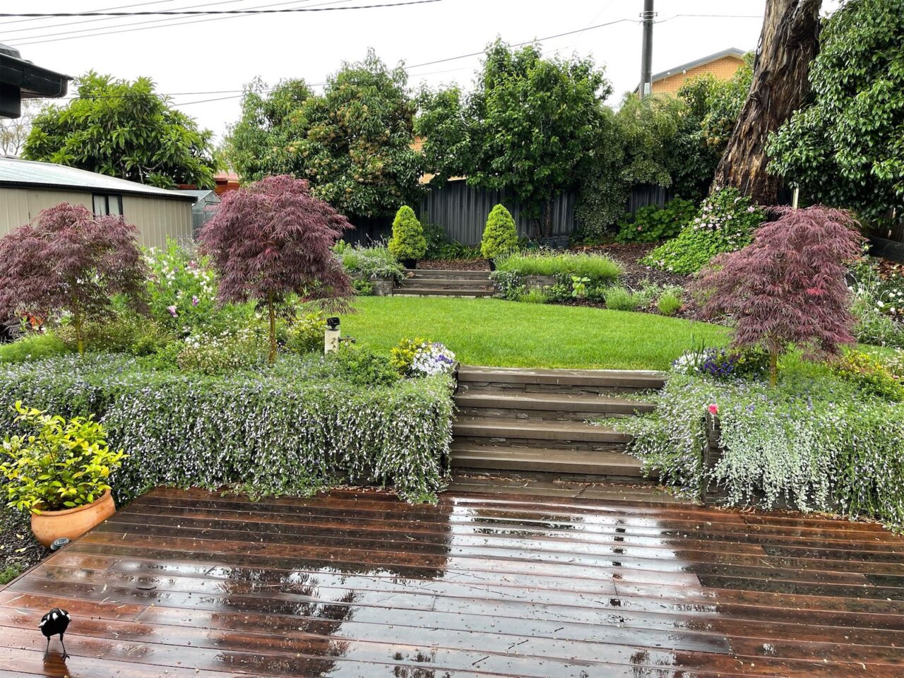 Gardengigs | Custom Garden Design & Landscaping Canberra